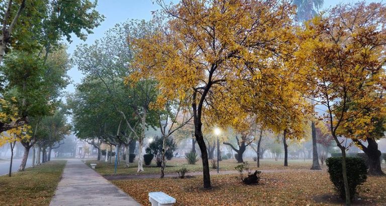 Te recuerdo invierno | PresenteNoticias